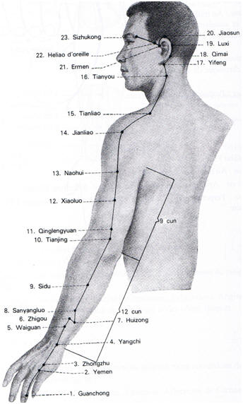 Méridiens et points d'acupuncture en médecine traditionnelle chinoise