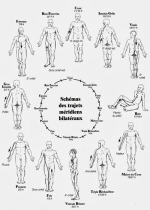 Méridiens et points d'acupuncture en médecine traditionnelle chinoise
